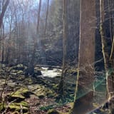 Fiery Gizzard Trail to Raven's Point, Tennessee - 1,165 Reviews, Map ...