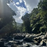 Angelito Trail, East Region, Puerto Rico - 656 Reviews, Map | AllTrails