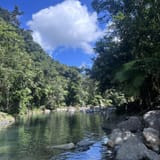 Angelito Trail, East Region, Puerto Rico - 656 Reviews, Map | AllTrails