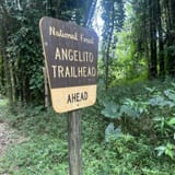 Angelito Trail, East Region, Puerto Rico - 656 Reviews, Map | AllTrails