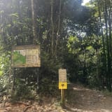 Angelito Trail, East Region, Puerto Rico - 656 Reviews, Map | AllTrails