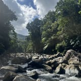 Angelito Trail, East Region, Puerto Rico - 656 Reviews, Map | AllTrails