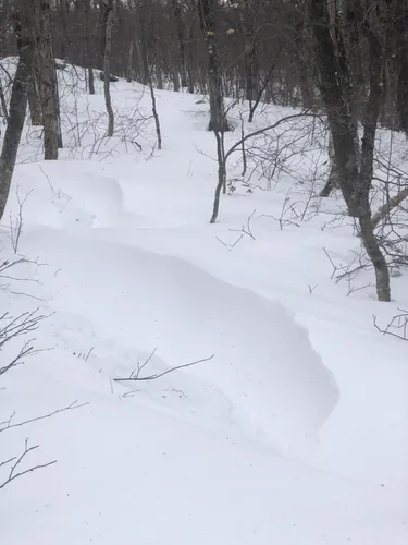 Best Hikes and Trails in Hoosac Range Reserve | AllTrails