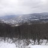 Spruce Hill via Hoosac Range Trail, Massachusetts - 616 Reviews, Map ...