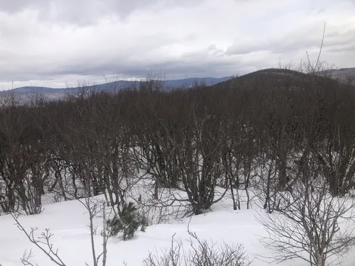 Best Hikes and Trails in Hoosac Range Reserve | AllTrails