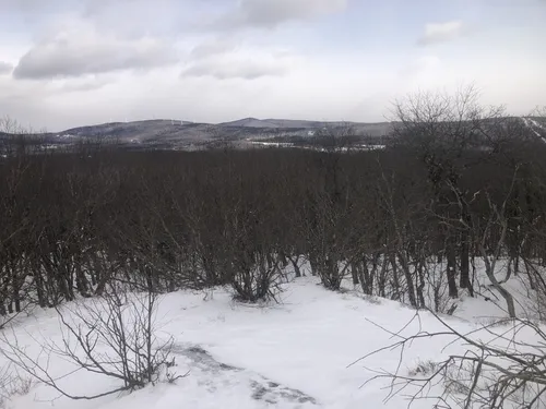 Best Hikes and Trails in Hoosac Range Reserve | AllTrails