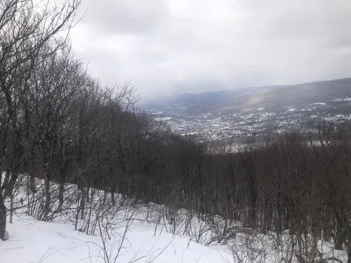 Best Hikes and Trails in Hoosac Range Reserve | AllTrails