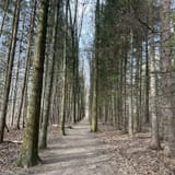 Plateau Trail, Ohio - 3,239 Reviews, Map | AllTrails