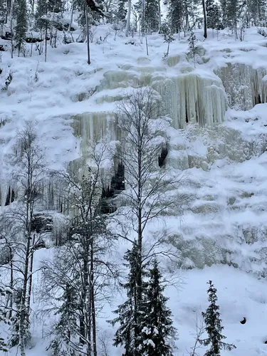 Best Camping Trails in Posio | AllTrails