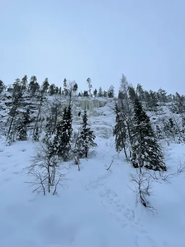 Best Camping Trails in Posio | AllTrails