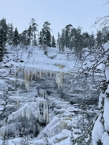 Best Camping Trails in Posio | AllTrails