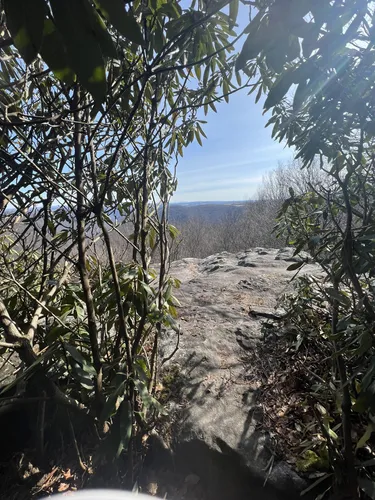 Best Hikes and Trails in Snake Hill Wildlife Management Area | AllTrails