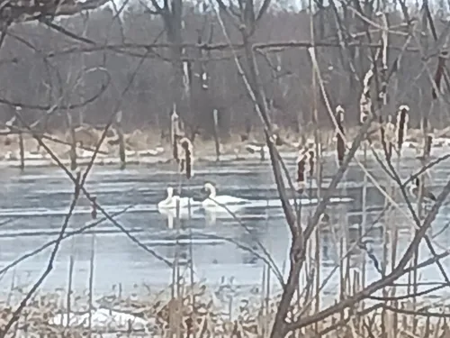 Best Hikes and Trails in Corey Marsh Ecological Research Center ...