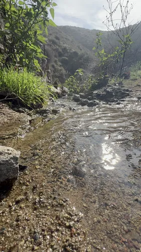 Best Hikes and Trails in Walker Canyon Ecological Reserve | AllTrails