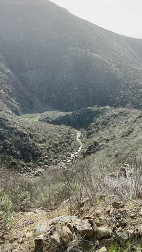 Best Hikes and Trails in Walker Canyon Ecological Reserve | AllTrails