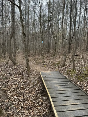 Best Hikes and Trails in The Ridge Nature Area | AllTrails