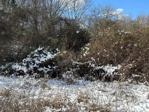 Best Hikes and Trails in Haley Farm State Park | AllTrails