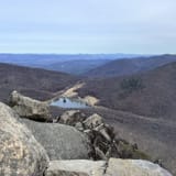 Sharp Top Trail, Virginia - 2,714 Reviews, Map | AllTrails
