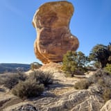 Miracle Rock Trail, Colorado - 39 Reviews, Map | AllTrails