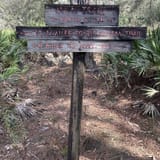 Green Swamp West Loop, Florida - 190 Reviews, Map | AllTrails