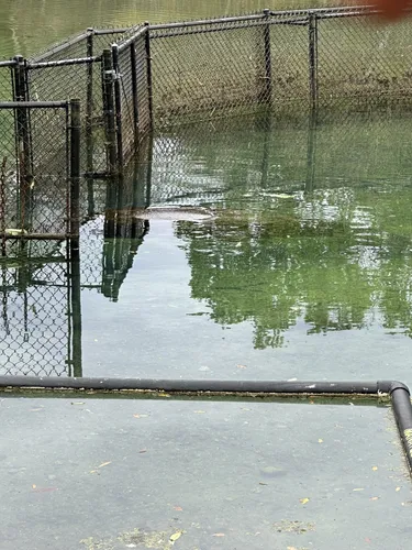 Best Hikes and Trails in Ellie Schiller Homosassa Springs Wildlife ...