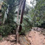 Palo Maria Waterfall, Jalisco, Mexico - 455 Reviews, Map | AllTrails