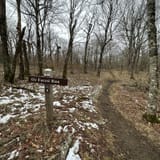 Emerald Outback Outer Loop, North Carolina - 341 Reviews, Map | AllTrails