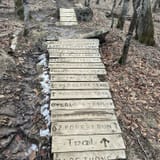 Emerald Outback Outer Loop, North Carolina - 341 Reviews, Map | AllTrails