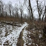 Emerald Outback Outer Loop, North Carolina - 341 Reviews, Map | AllTrails