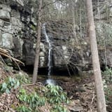 Collins Gulf Trail to Horsepound Falls and Collins River, Tennessee ...