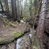Dickerson Falls, Washington - 2,308 Reviews, Map | AllTrails