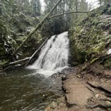 Dickerson Falls, Washington - 2,308 Reviews, Map | AllTrails
