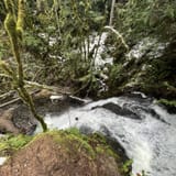 Dickerson Falls, Washington - 2,308 Reviews, Map | AllTrails