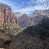 Kayenta Trail to the Emerald Pools, Utah - 2,526 Reviews, Map | AllTrails