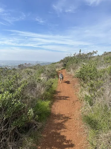 Best Waterfall Trails in San Marcos | AllTrails