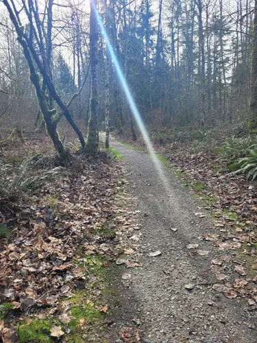 Best Bird Watching Trails in Spring Lake/Lake Desire Park | AllTrails