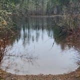 Tradition Lake Loop Trail, Washington - 1,546 Reviews, Map | AllTrails