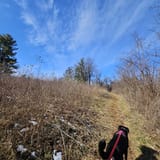Dickey Ridge Trail, Virginia - 348 Reviews, Map | AllTrails
