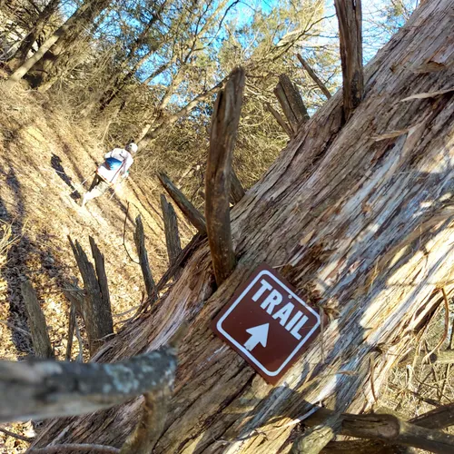 Best Hikes and Trails in Little Dixie Lake Conservation Area | AllTrails