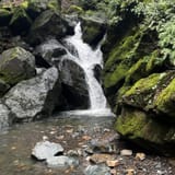 Canyon and Pony Gate Loop, California - 568 Reviews, Map | AllTrails