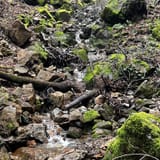 Canyon and Pony Gate Loop, California - 568 Reviews, Map | AllTrails