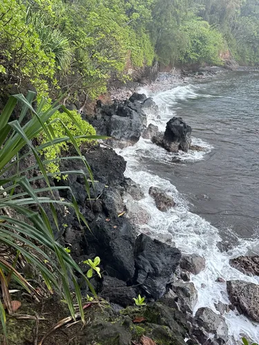 Best Hikes and Trails in Pepeekeo | AllTrails