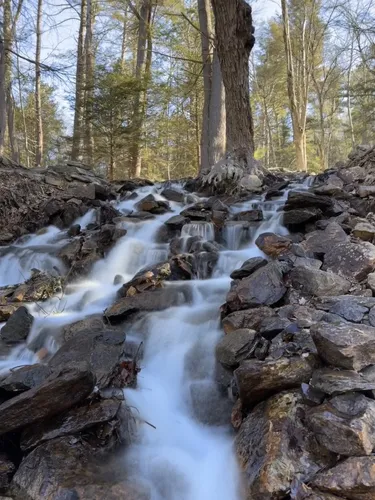 Best Walking Trails in Caledonia State Park | AllTrails