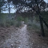 Lost Pines Trail, Texas - 683 Reviews, Map | AllTrails