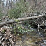 Gee Creek Falls Trail, Tennessee - 768 Reviews, Map | AllTrails