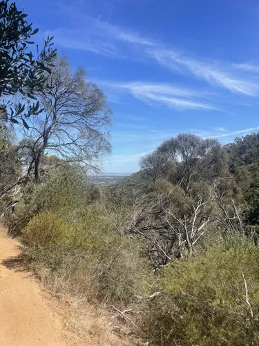 10 Best Trail Running Trails in Adelaide | AllTrails