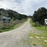 Three Sisters Road Loop, California - 81 Reviews, Map | AllTrails