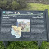 Three Sisters Road Loop, California - 81 Reviews, Map | AllTrails