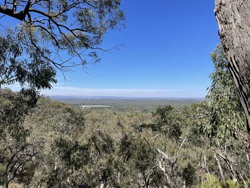 Best Wild Flowers Trails in Heathcote-Graytown National Park | AllTrails