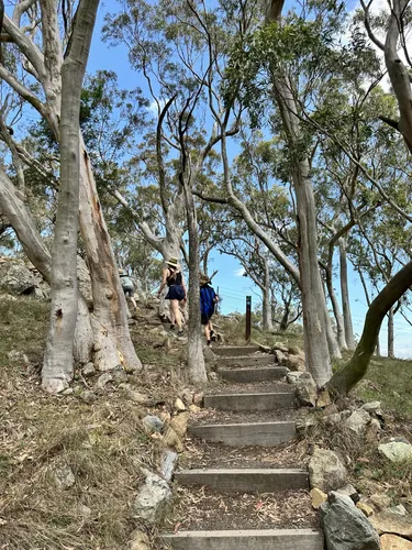 Best Forest Trails in Hall | AllTrails